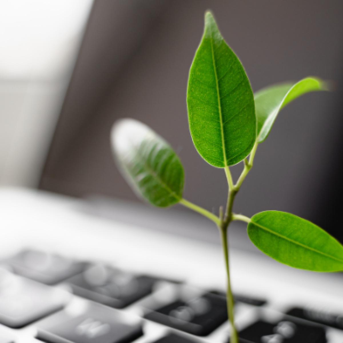 BLOG | Digital Workplace : comment améliorer son impact carbone grâce ...